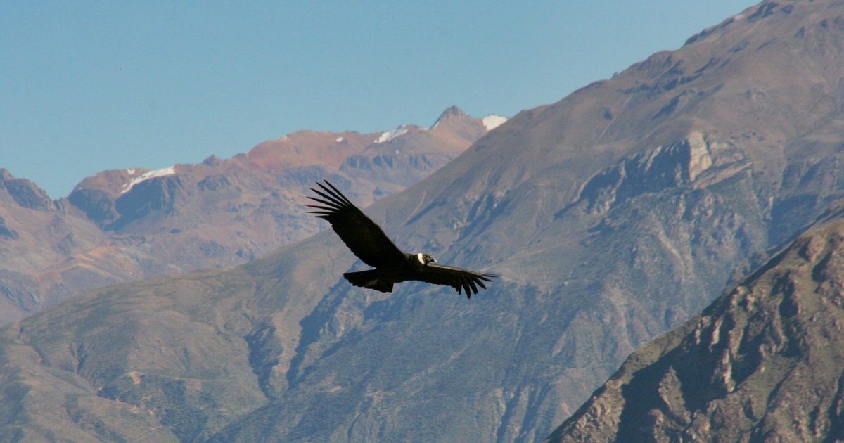 Colka-kløften vandretur 2D/1N