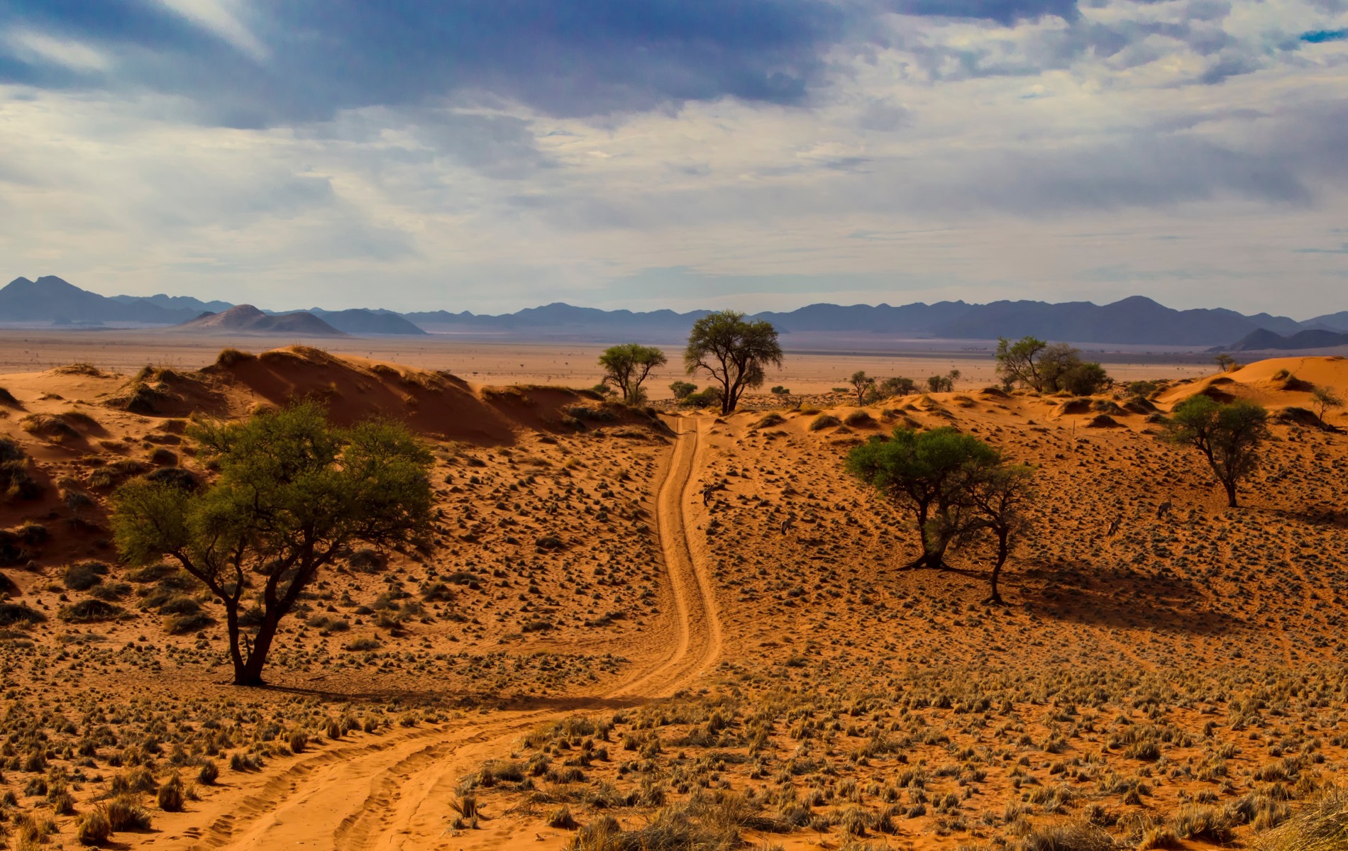 Rejser til Namibia | Hannibal Travel Rejser til Namibia | Hannibal Travel